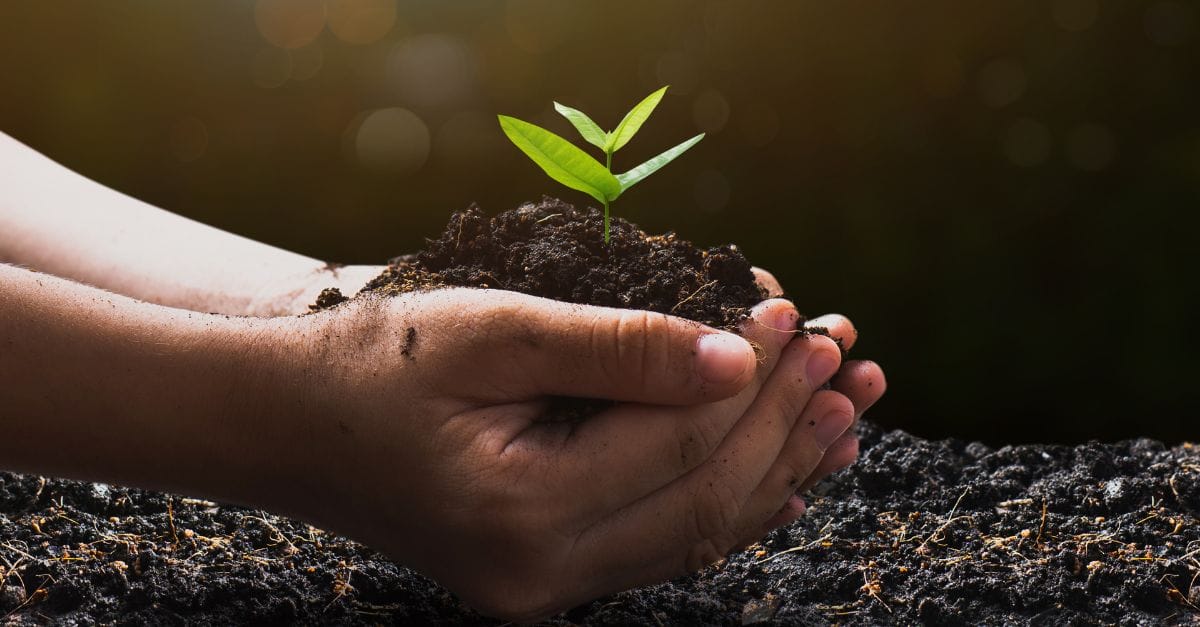 Harvard Report Underlines Broadening Importance of ESG - NeoXam